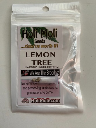 Buy ON SALE NOW!!! 6 FEMINIZED LEMON TREE SEEDS - $32 per unit on Strainly