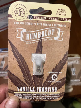 Vanilla Frosting 3-PACK from Humboldt Seed Company - Strainly