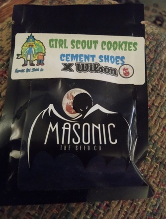 Masonic Seeds - Strainly