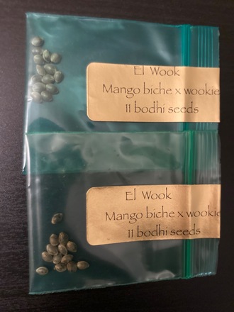 Buy El Wook - 27 beans - Bodhi Seeds - $55 per unit on Strainly