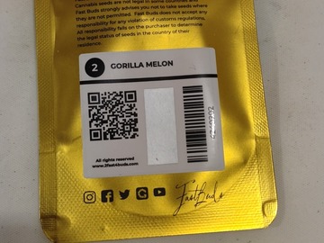 Explore the best place to buy marijuana Seeds online | Strainly