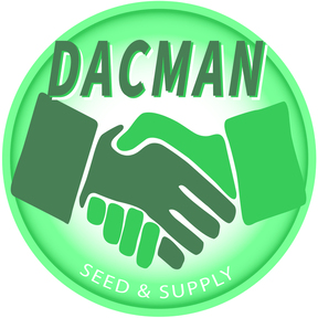 Discover Dacman on Strainly